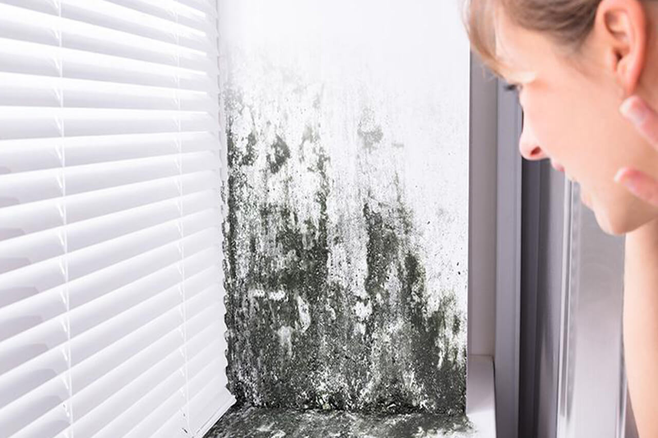 Harm to Humans from Mold on Windows: Health Risks, Symptoms, and ...